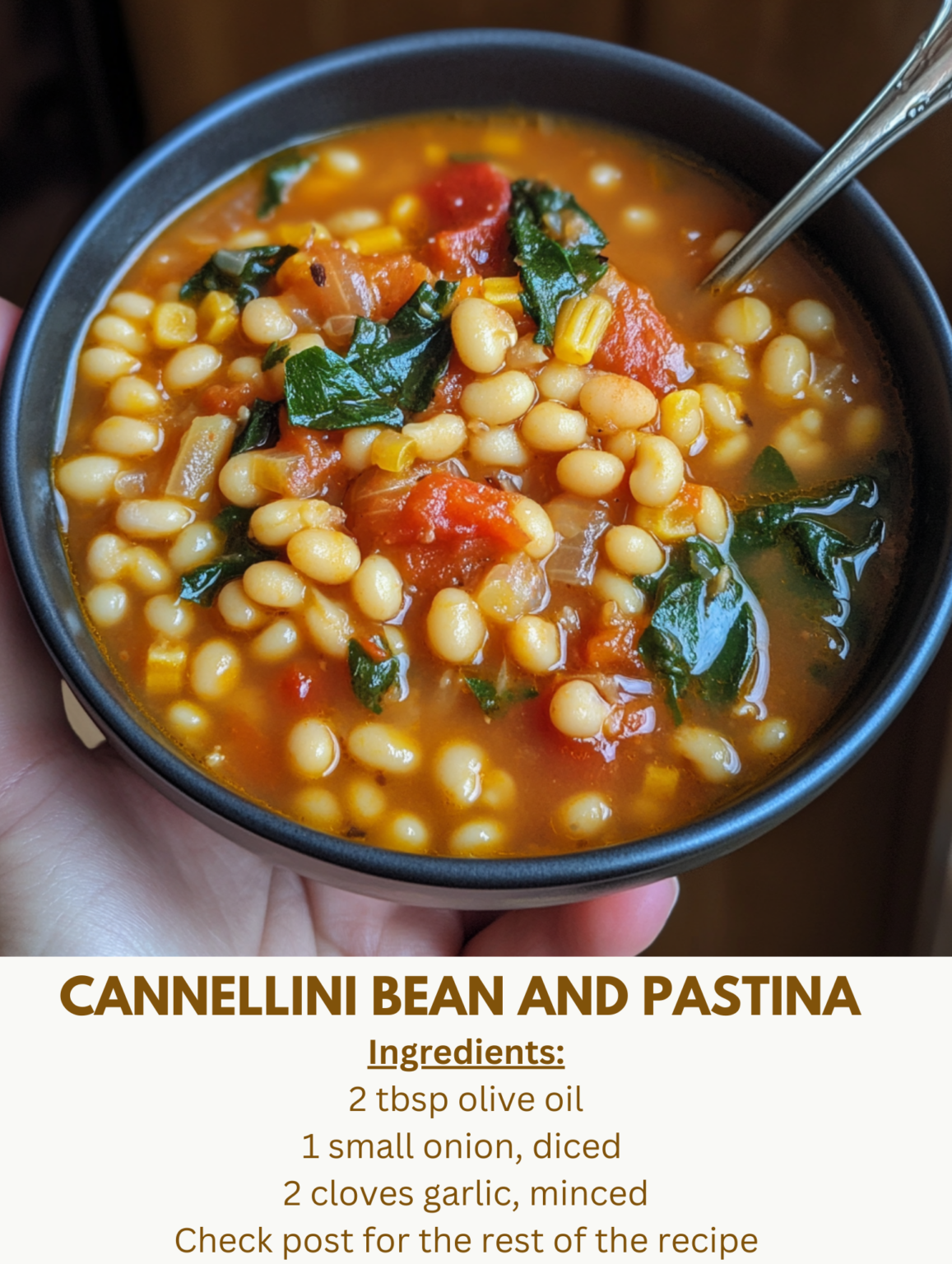 Italian Cannellini Bean and Pastina Soup – Infloin Recipes