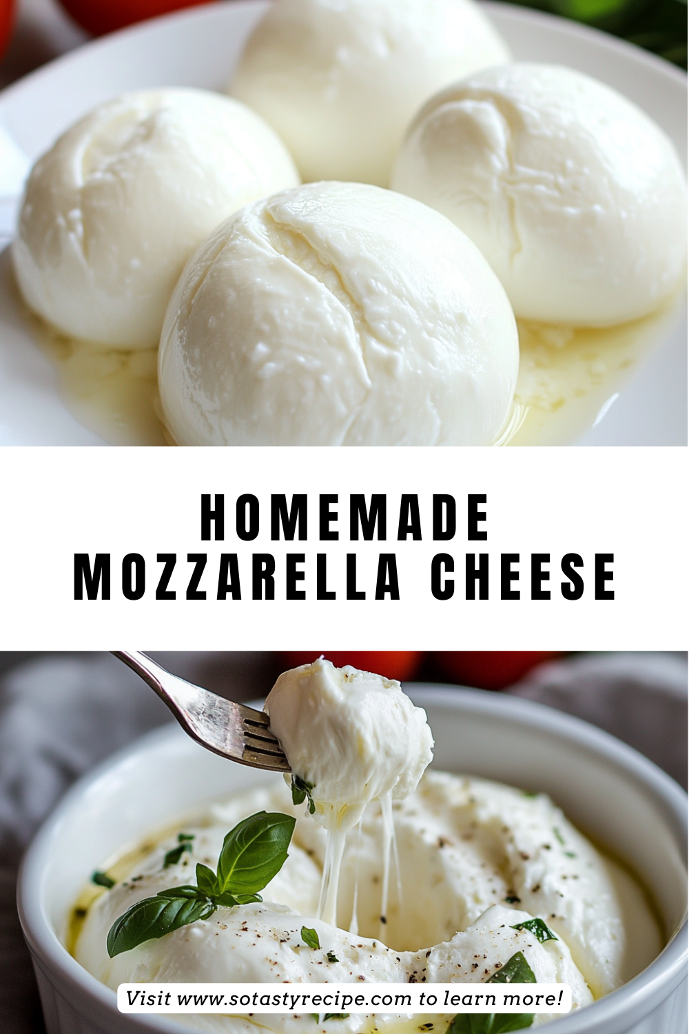 Homemade Mozzarella Cheese: A Step-by-Step Guide to Crafting Fresh ...